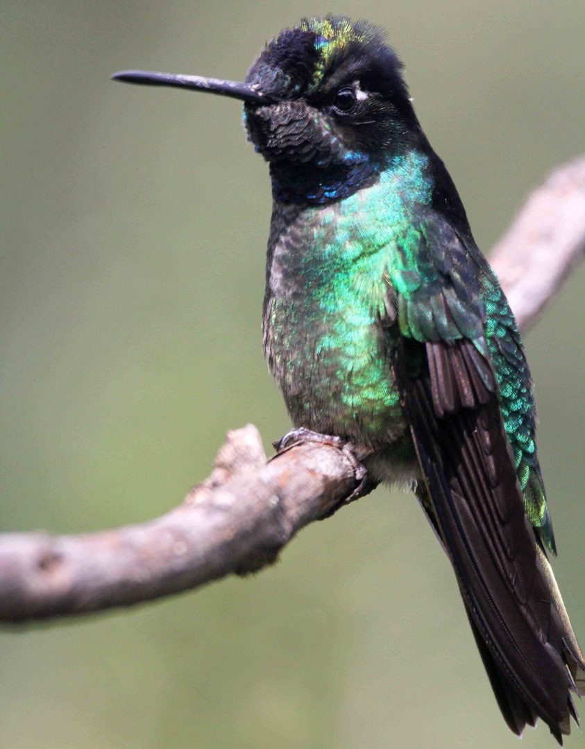International Projects – National Biodiversity Parks